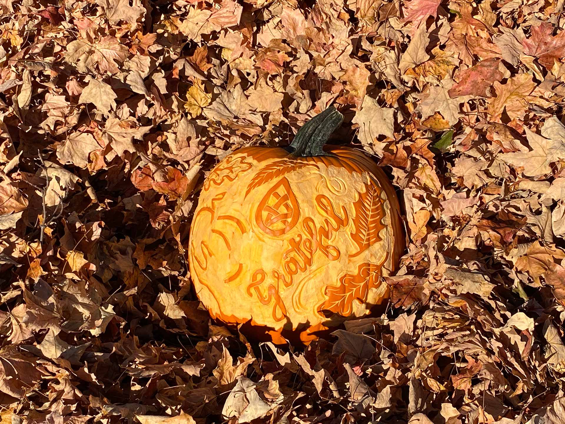 Past Recipients | Carve for a Cause